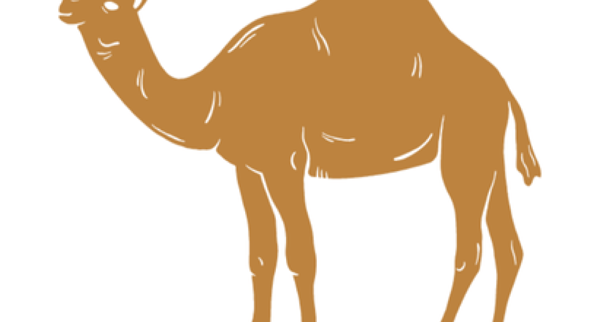 The Lost Camel | 1001 Stories