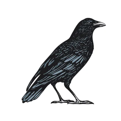 Man Crow | 1001 Stories