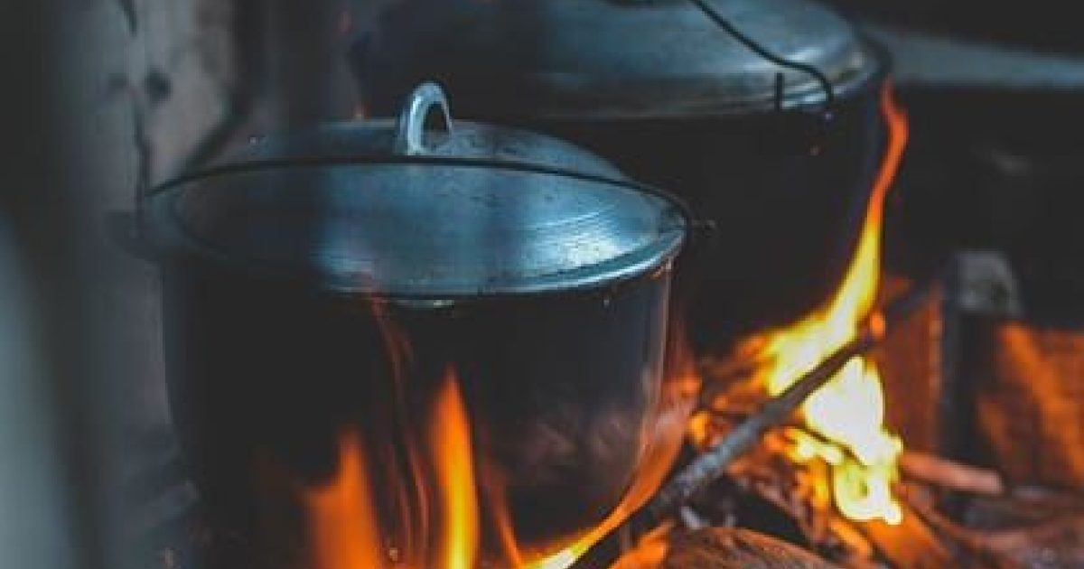 The Wolves of Willoughby Chase | 1001 Stories